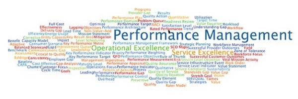 The Role of Performance Management in the High Performance Organisation ...